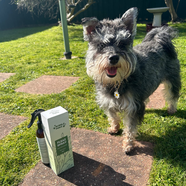 Organic Natural FLEAZ Spray for Pets 250ML | Bubble Pawz